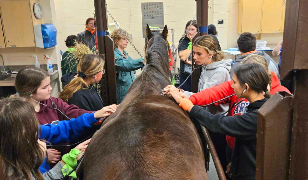 Atlantic Veterinary College pilots first Indigenous Vet Camp ...