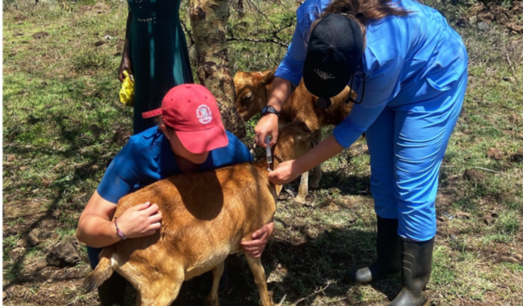 AVC veterinary team makes impact in Kenya | UPEI